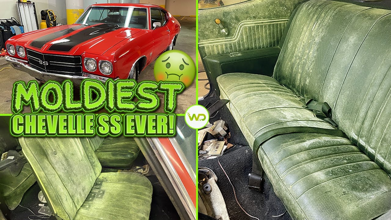 Deep cleaning the moldiest 1970 Chevelle SS with disaster detail