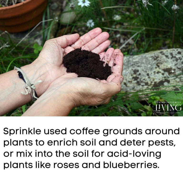 50+ Life Hacks You Need to Try