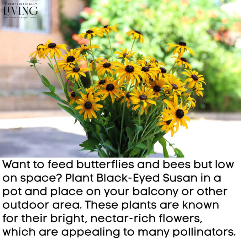 50+ Life Hacks You Need to Try