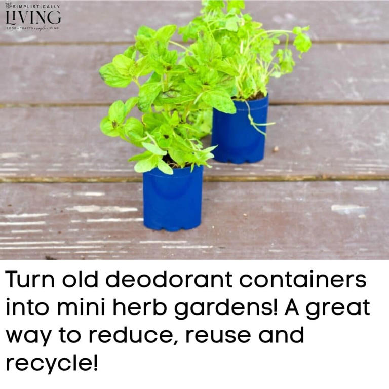 50+ Life Hacks You Need to Try