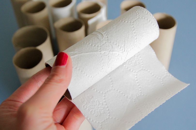 Gardening expert shares essential tips for using cardboard toilet rolls ...