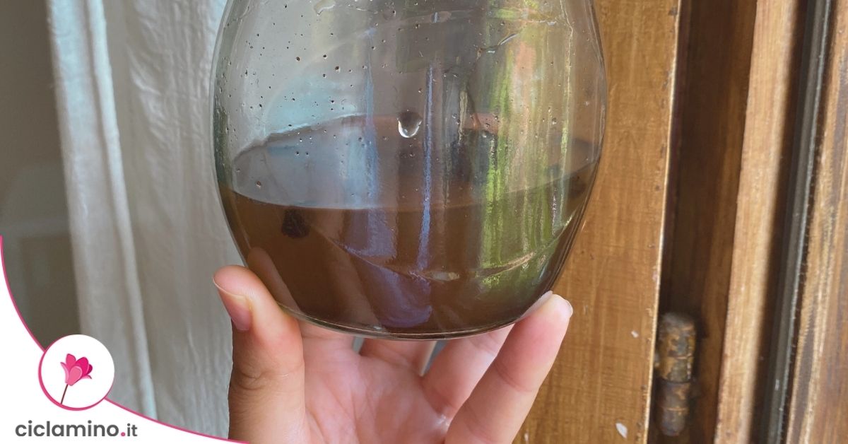 Come fare i concimi liquidi fai da te (ricette semplici)