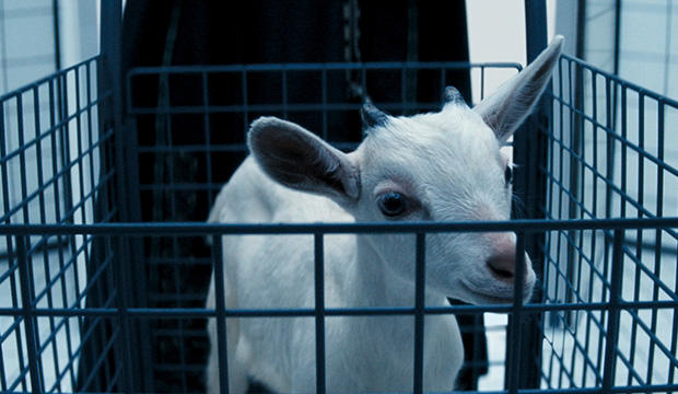 ‘Severance' cast on the ‘complicated love tetrahedron,' those Ricken ...