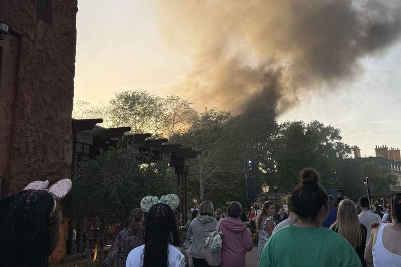Disney World video shows terrified visitors gasping as huge fire tears ...