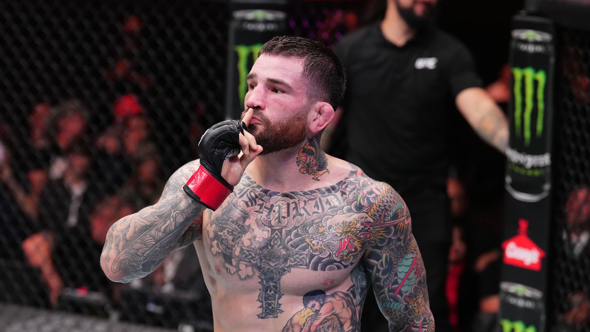 UFC London Post-Fight Show: Reaction to Sean Brady’s dominant finish of ...