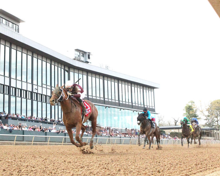 Red Route One Rallies From Last To First For Essex Triumph