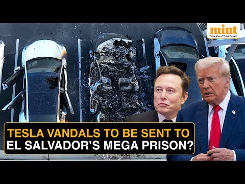 Tesla Vandalism: Trump May Send Musk's Enemies To The World's Most ...
