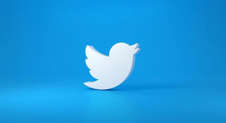 Twitter's iconic logo, blue bird 'Larry', sold for nearly $35,000 at ...