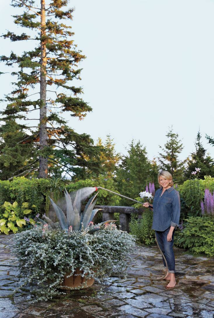Quick Takes With: Martha Stewart