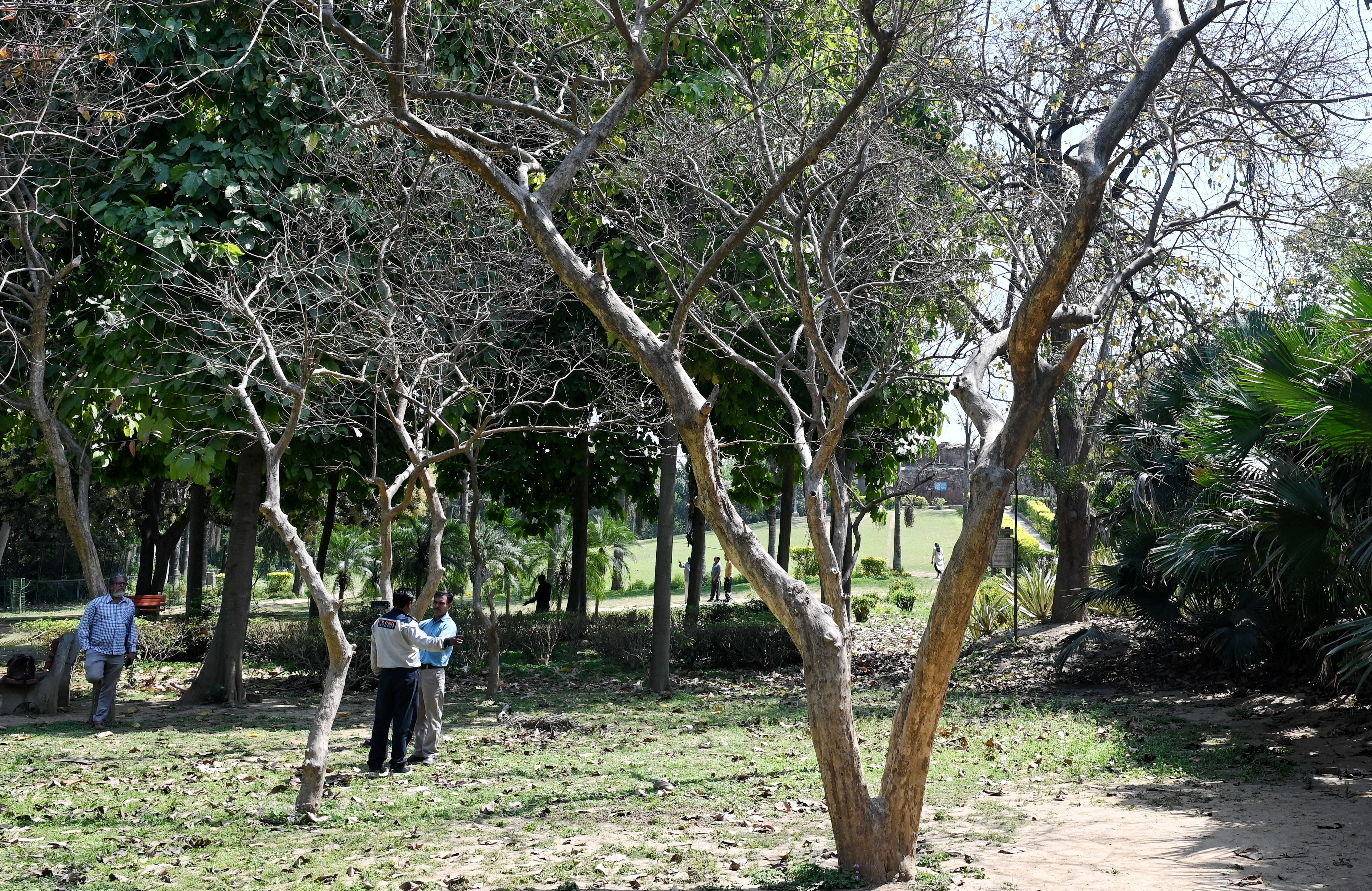 Couple found hanging from tree at Deer Park in Hauz Khas