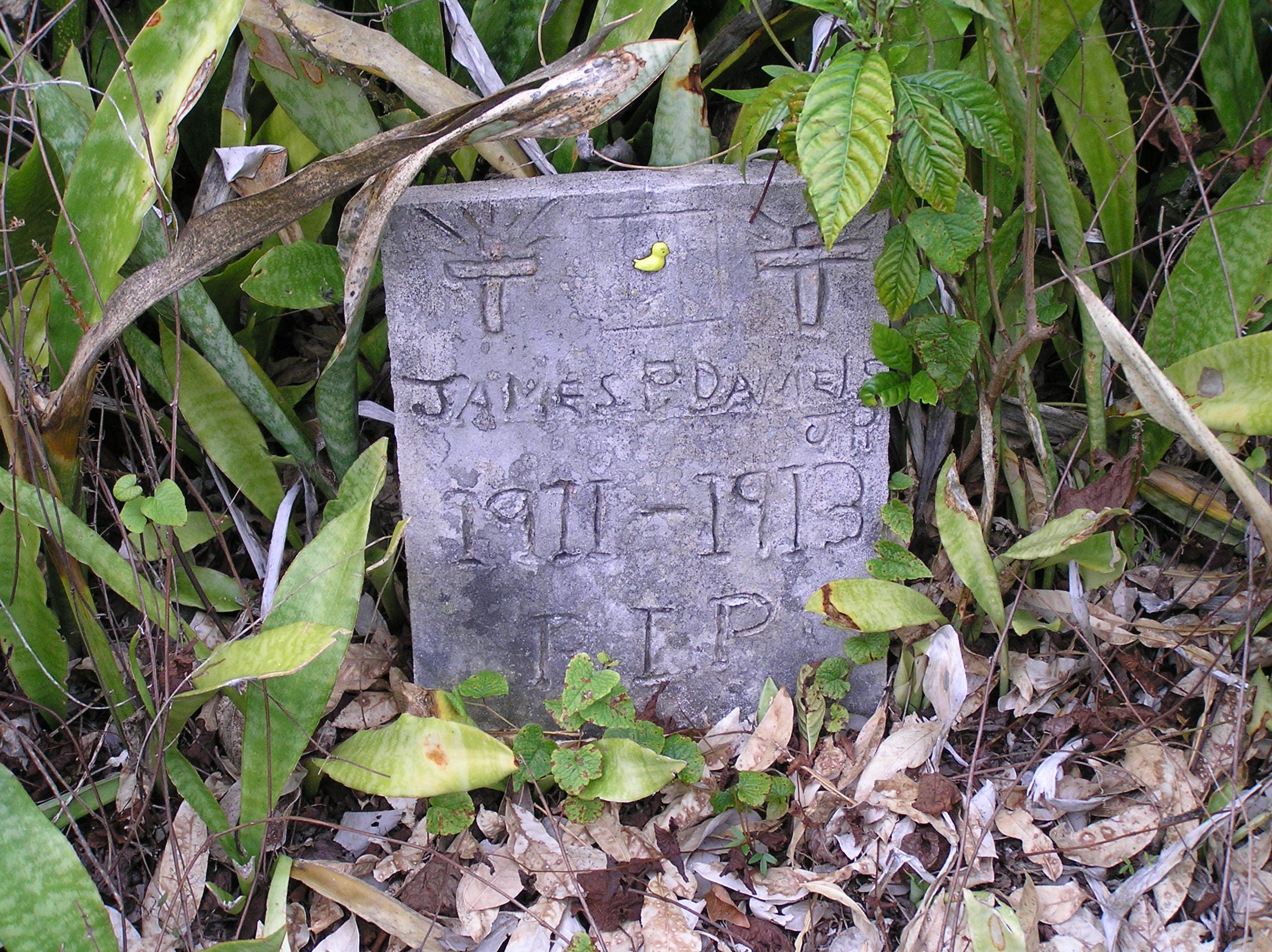 From the Archives: Hidden in plain sight – Historical cemeteries of ...