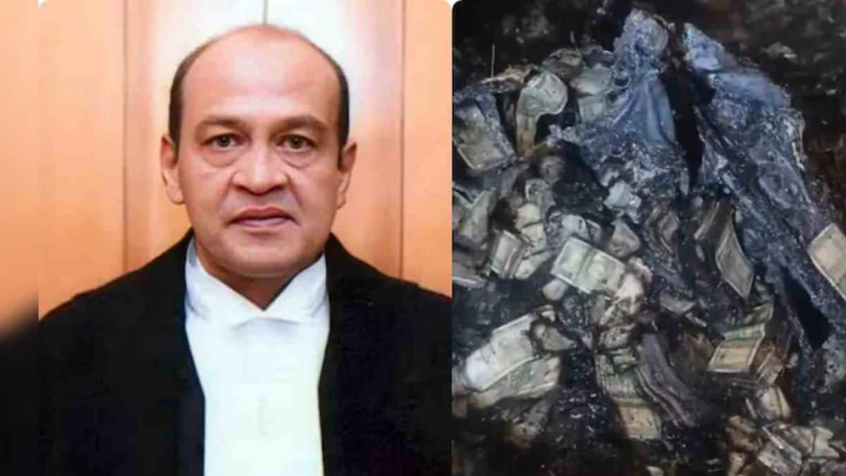 'Irreparably harmed my reputation, completely baseless': Delhi HC Judge ...
