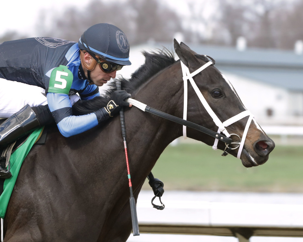 Dana’s Beauty, Kale's Angel, Banks Shine On Turfway's Jeff Ruby Steaks ...