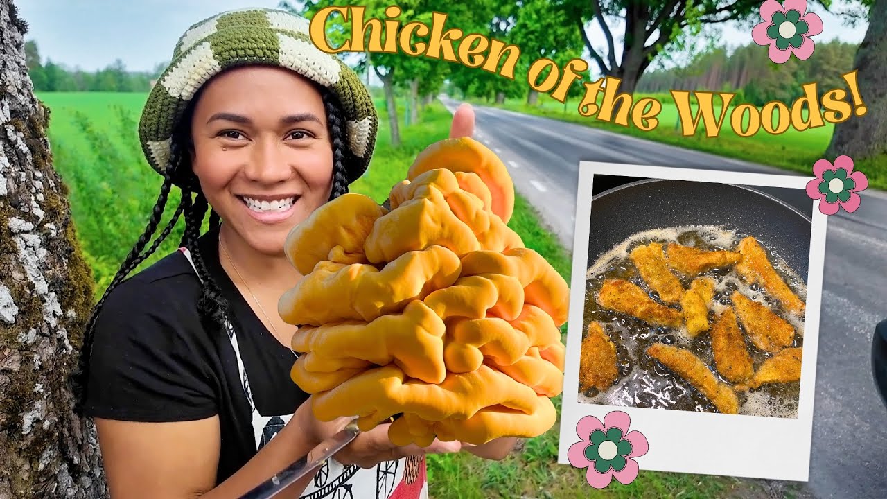 Sharing our experience getting high on wild mushrooms safely