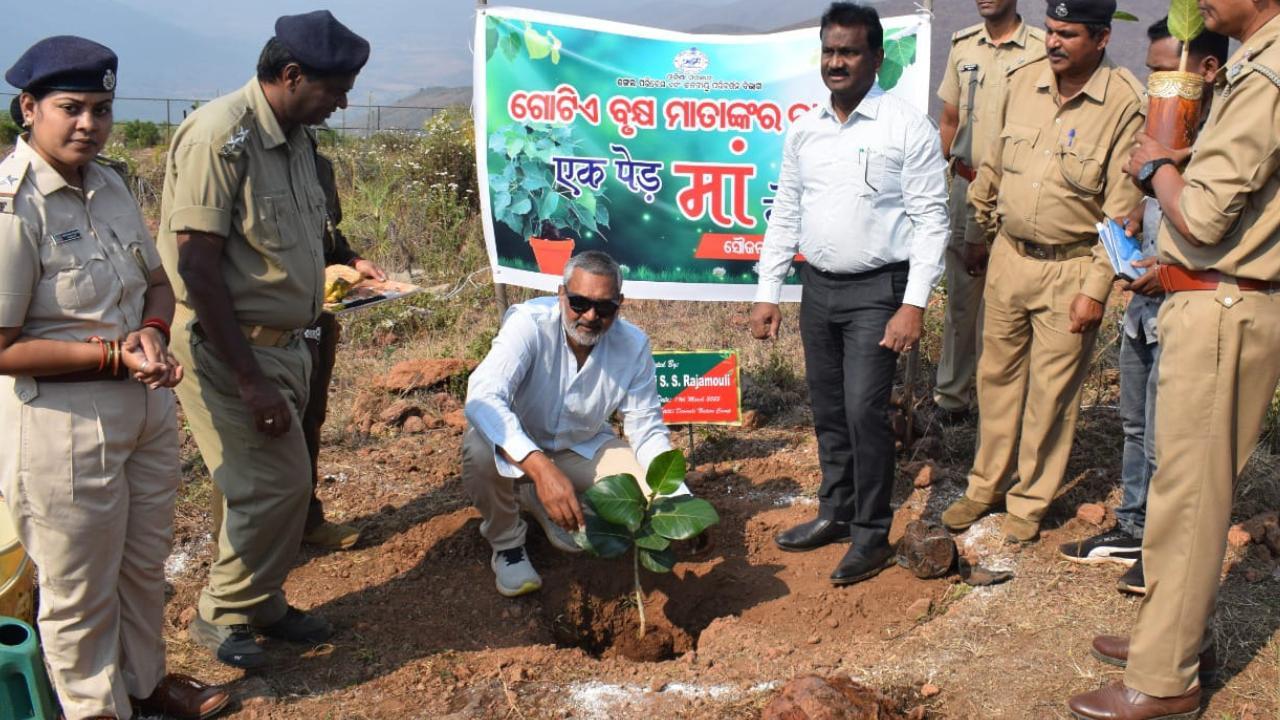 SSMB29: Mahesh Babu, SS Rajamouli plant trees at Odisha`s highest peak