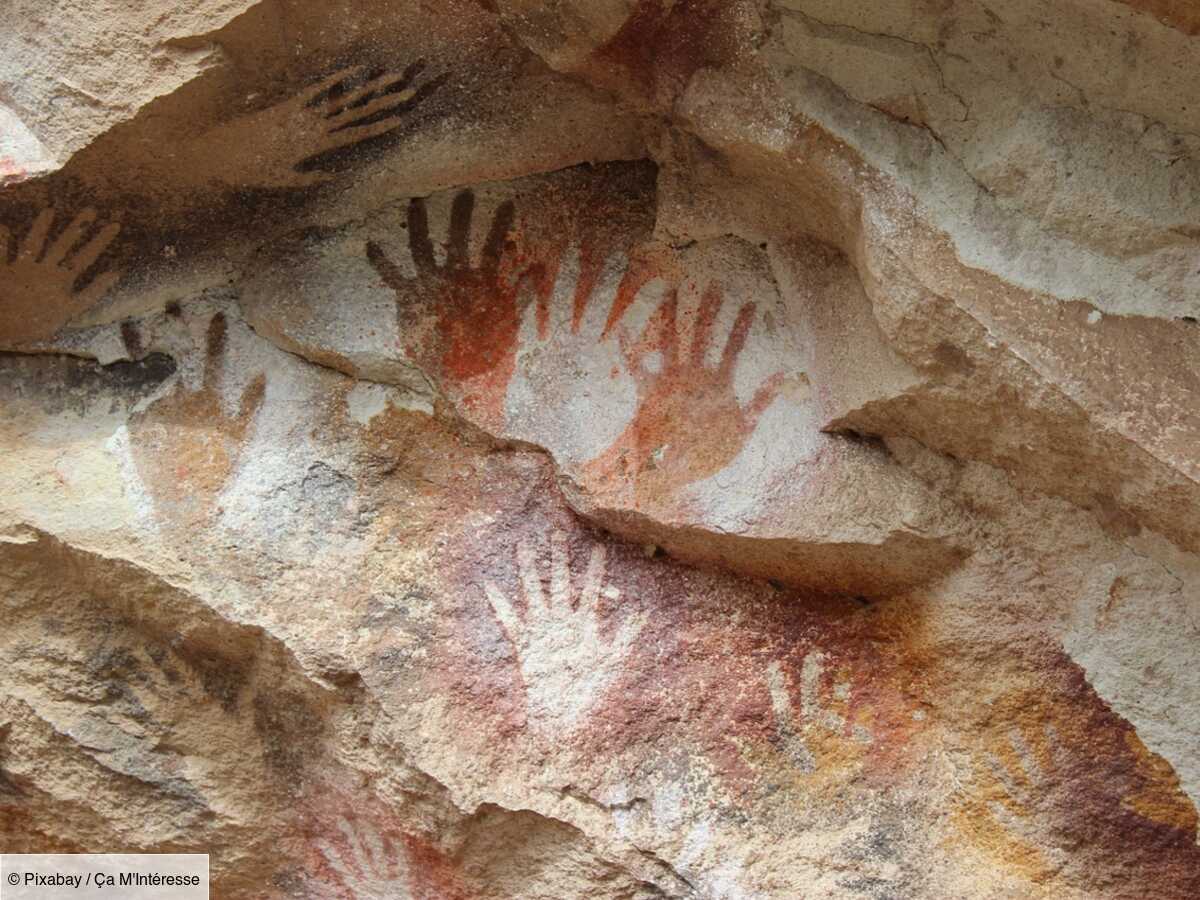 Tatouage, cannibalisme, coquetterie... : les dernières découvertes sur ...