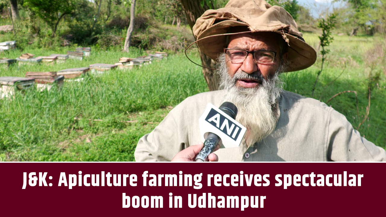 J-K: Apiculture farming receives spectacular boom in Udhampur