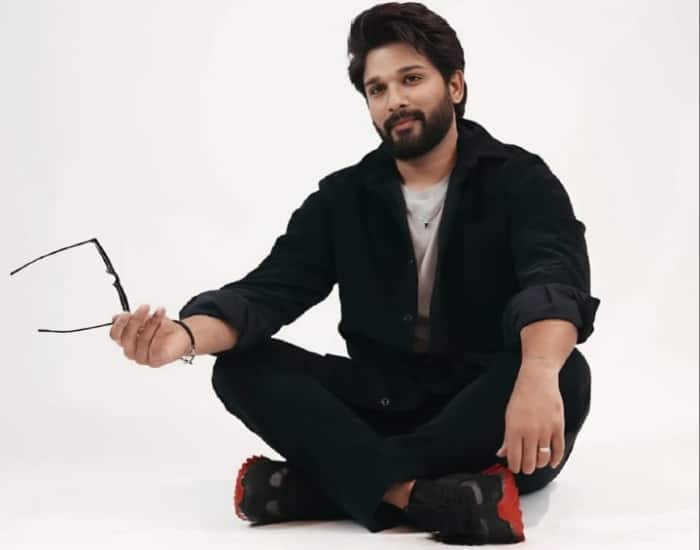 WATCH - Allu Arjun visits BAPS Hindu temple in Abu Dhabi; video goes VIRAL