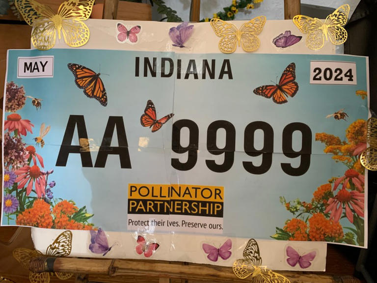 ‘There’s a ripple effect’: Proposed Indiana license plate could raise ...