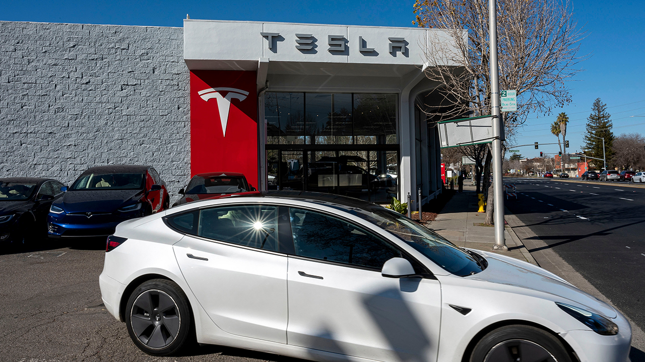 Tesla earnings fall short; Elon Musk says DOGE time will 'drop ...