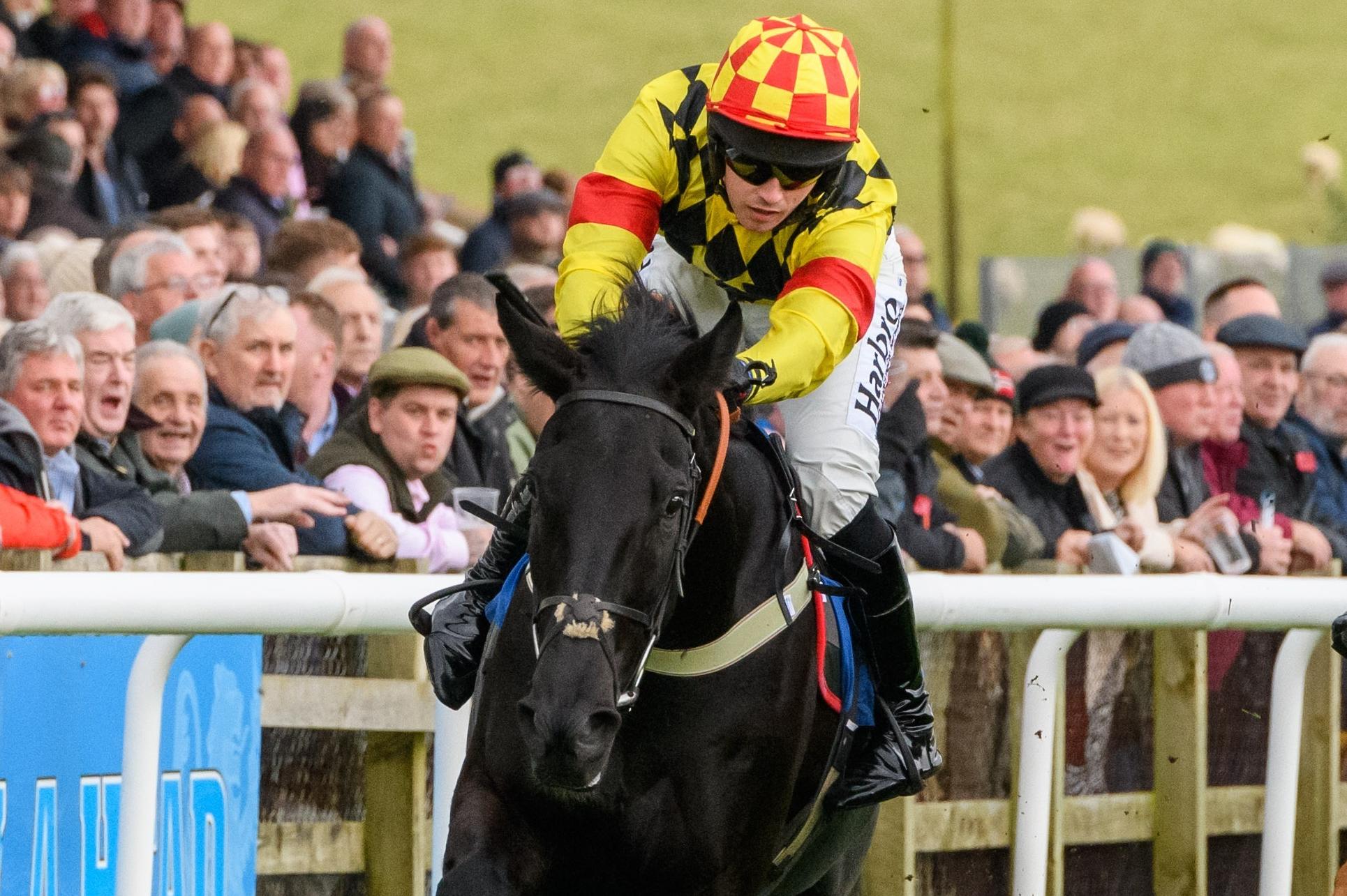 Selkirk trainer Stuart Coltherd is Borders’ only winner at Kelso ...