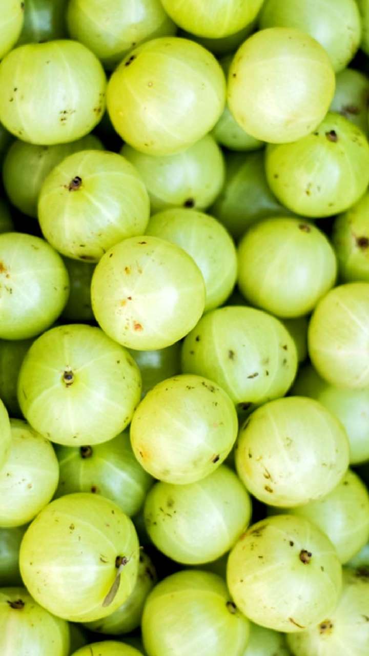 Trader Joe`s 14 Most Overlooked Items That Deserve a Spot in Your Cart