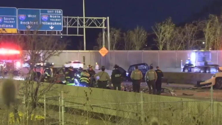 Driver killed in wrong-way crash on eastbound Eisenhower Expressway in Hillside identified, 2 ...
