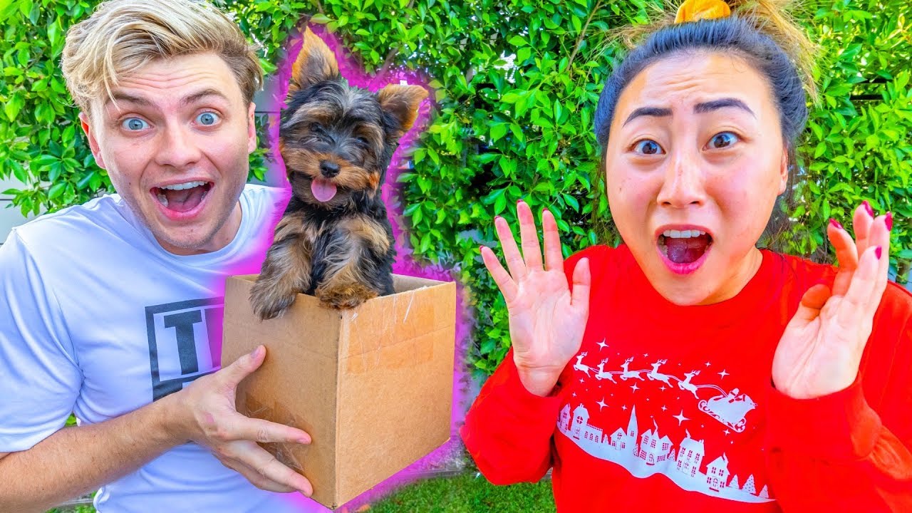 Boyfriend Surprises Me With A Pup 🐶