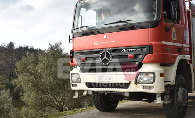 Φωτιά σε εργοστάσιο βάμβακος στον Ορχομενό: Μεγάλη επιχείρηση της ...