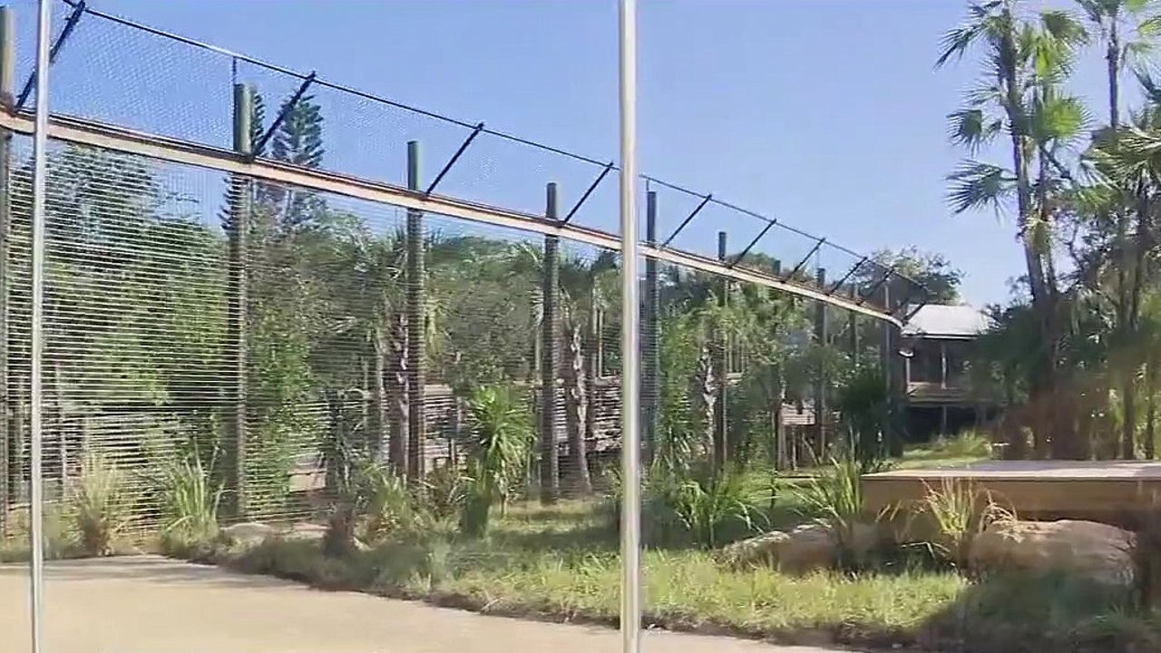 Best zoos in Florida: This one earns a 'top 10' spot in America, report ...