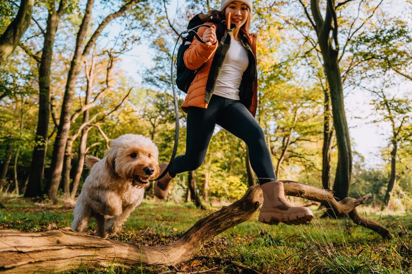 'The Old Farmer's Almanac' forecasts the weather for Spring 2025