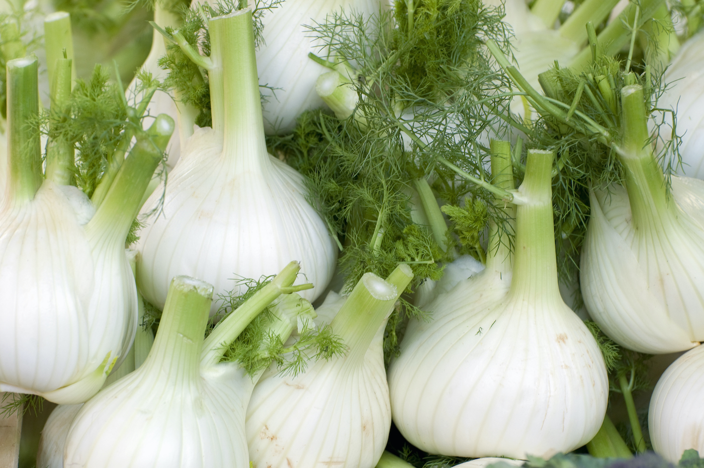 Fennel is the most criminally overlooked vegetable