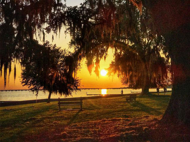 12 Best Things To Do In Mandeville, Louisiana