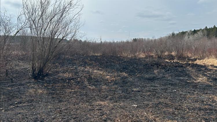 Shoreview brush fire underlines dangers of spring conditions