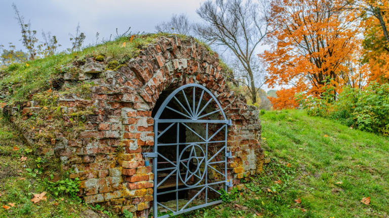 How to Build a Root Cellar for This Year's Harvest