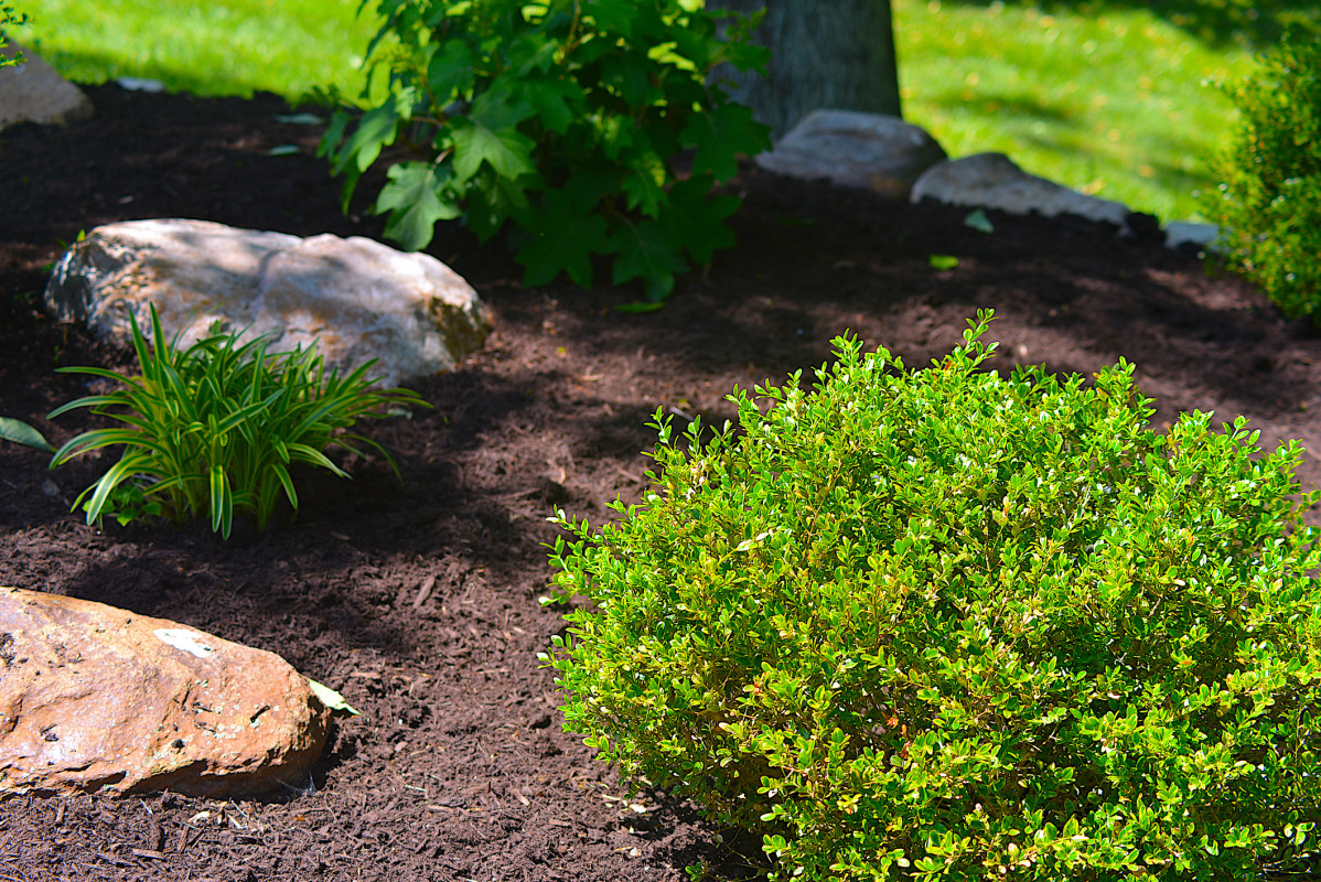 Is it Too Early to Put Down Mulch? Here's What Experts Say