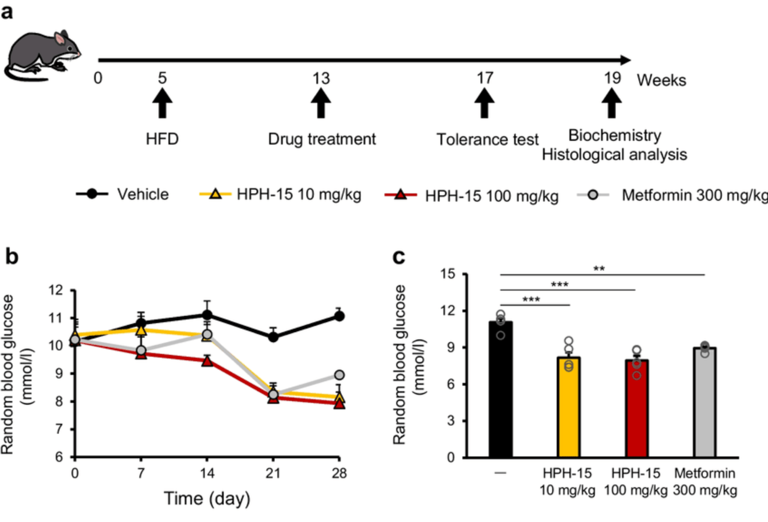 Revolutionary new drug is a major breakthrough in diabetes care