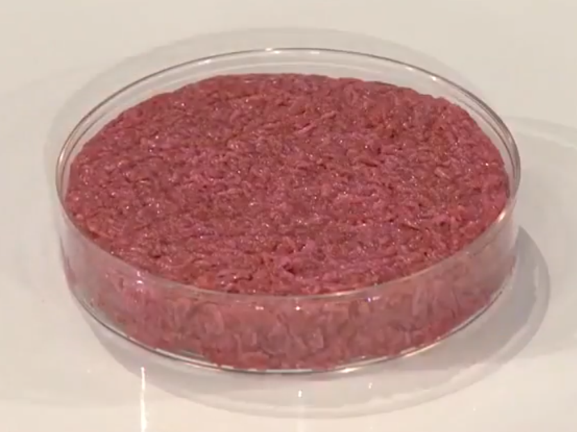 Would You Eat Lab-Grown Meat? The Truth Behind the Controversy