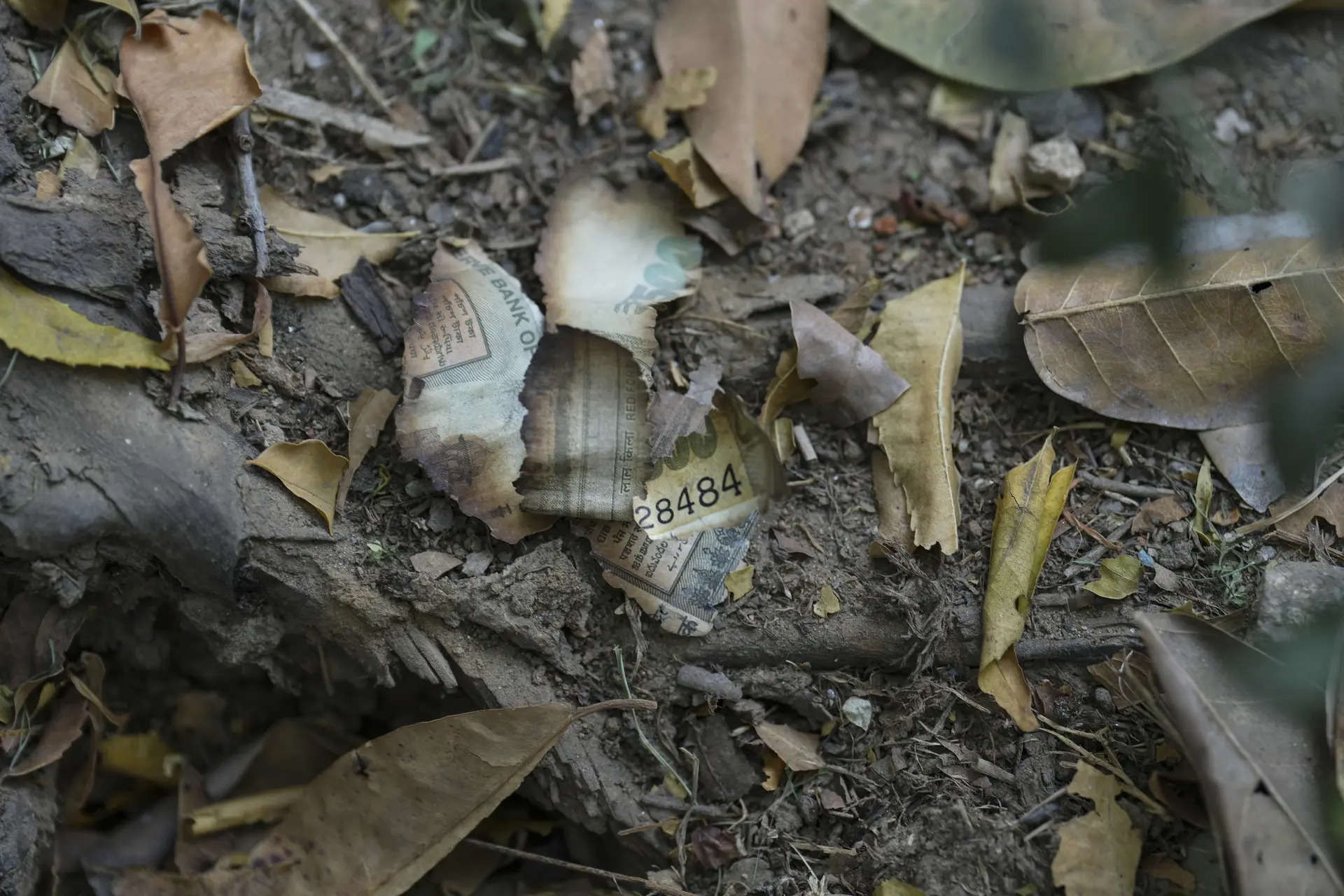 'Cash at home' case: Burnt currency notes found near Justice Yashwant ...