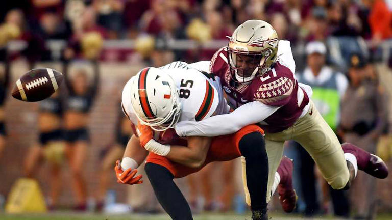 Former FSU Football safety makes final roster with Michigan Panthers