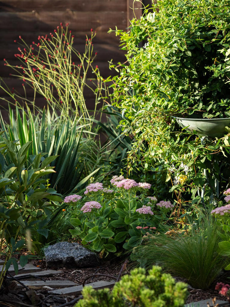 15 shade-loving plants that will brighten even the darkest corner of ...