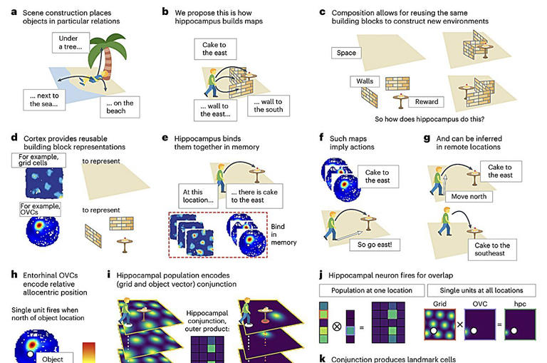 Memory composition and hippocampal replay: New insights into how the hippocampus helps shape ...