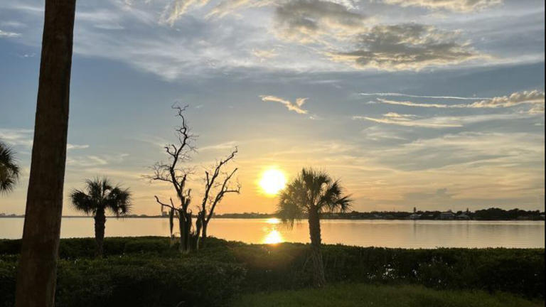 Among Many Questions for Razorbacks, Running Back One of Biggest