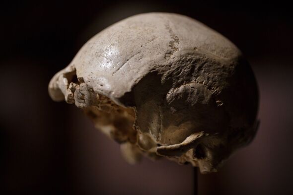 Archaeologists find 'Pit of the Bones' containing thousands of ancient ...