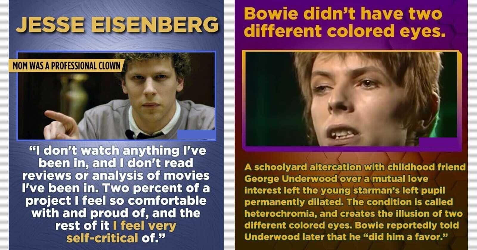 36 Random Bits of Pop Culture Trivia That Have Been Riding the Bench ...