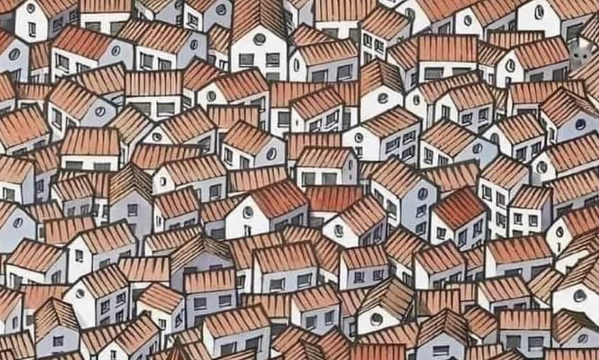 Can you spot the cat hidden among the homes in optical illusion?