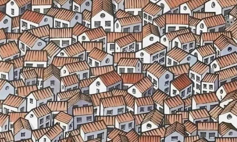 Can you spot the cat hidden among the homes in optical illusion?
