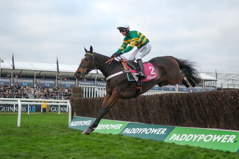 Ladies Day 2025 full race card and tips at Aintree - list of runners ...