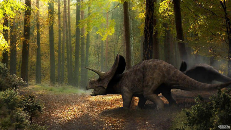 A 168-Million-Year-Old Dinosaur Bone Sheds Light on a Hidden ...