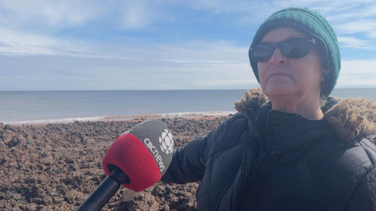 'It's a mess': Tignish Shore residents upset over sludge dumped on ...